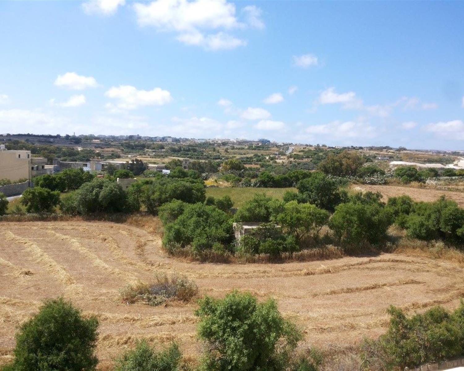 Apartment - For Rent - Attard - Malta | 240531004-442