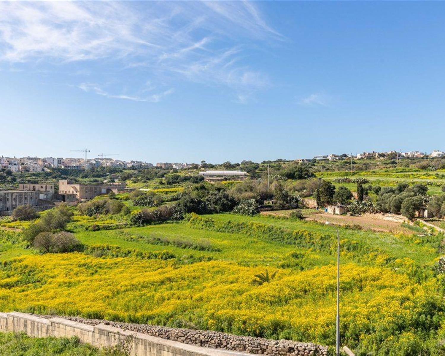 Apartment - For Rent - Swieqi - Malta | 240511013-149